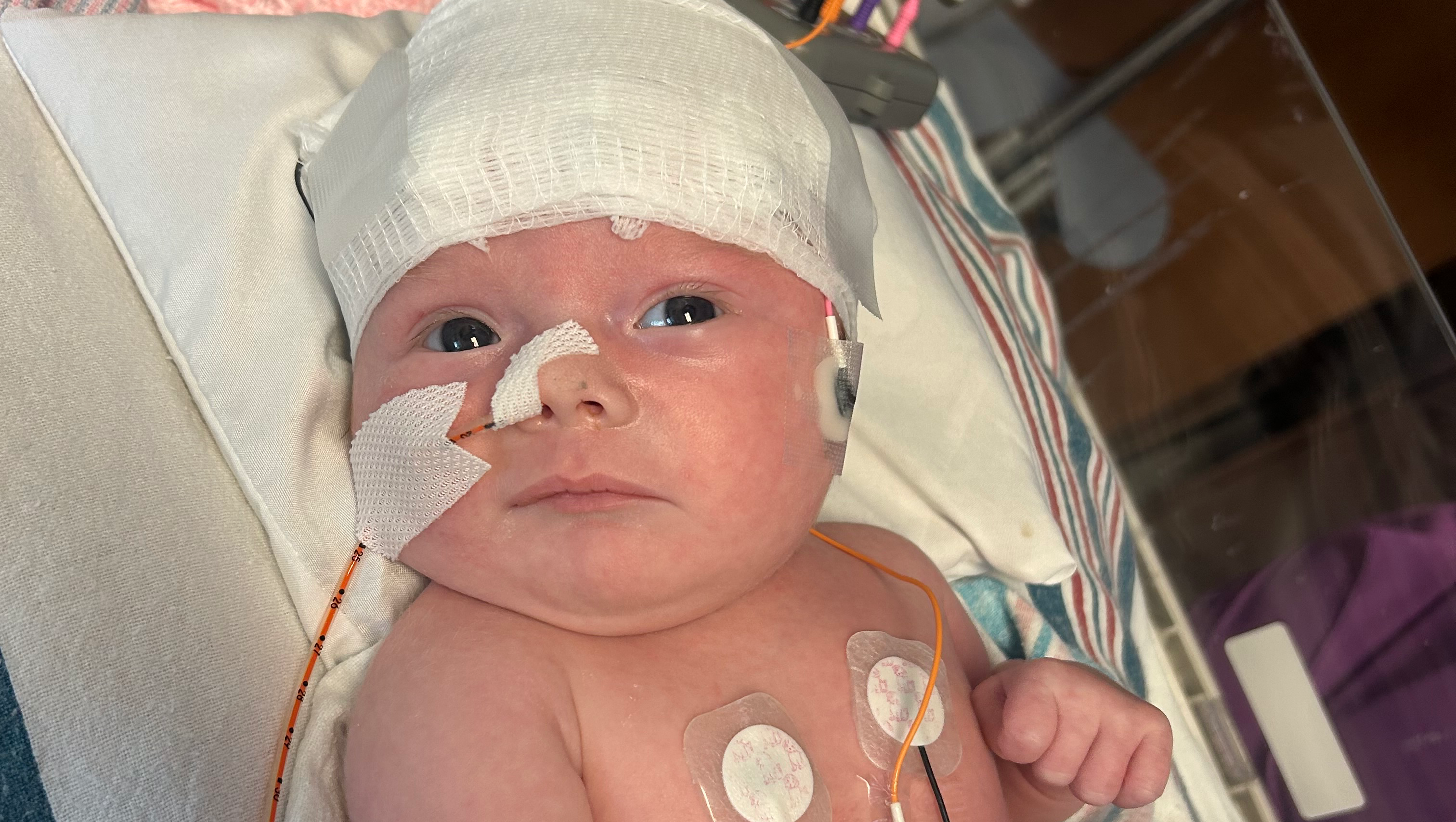 Fundraiser for Hannah Southerland by Macey Turner : Support Baby Kouvr ...