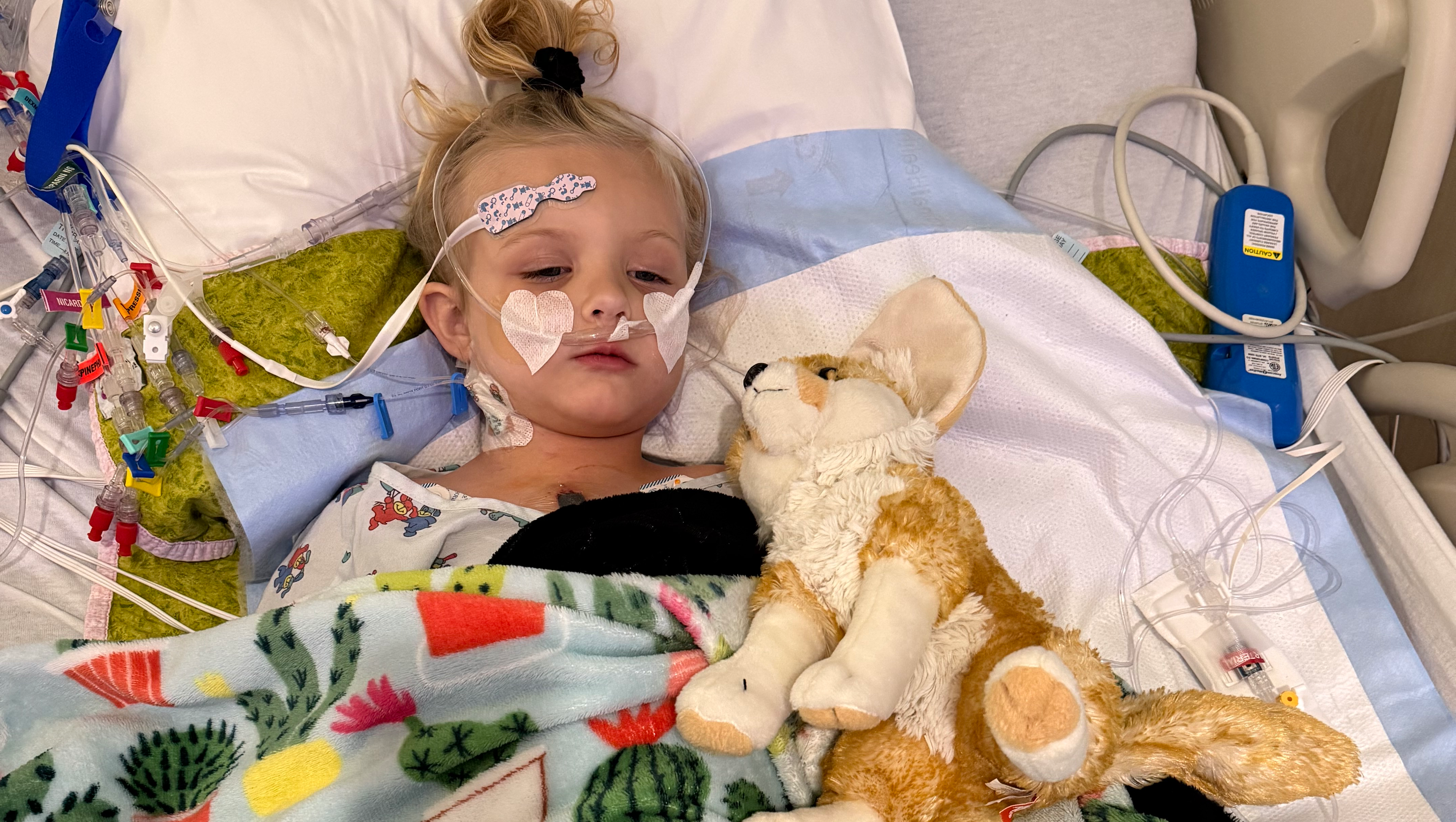 Fundraiser by Ally Delima : Help Charlee Heal: Hospital Stay Relief