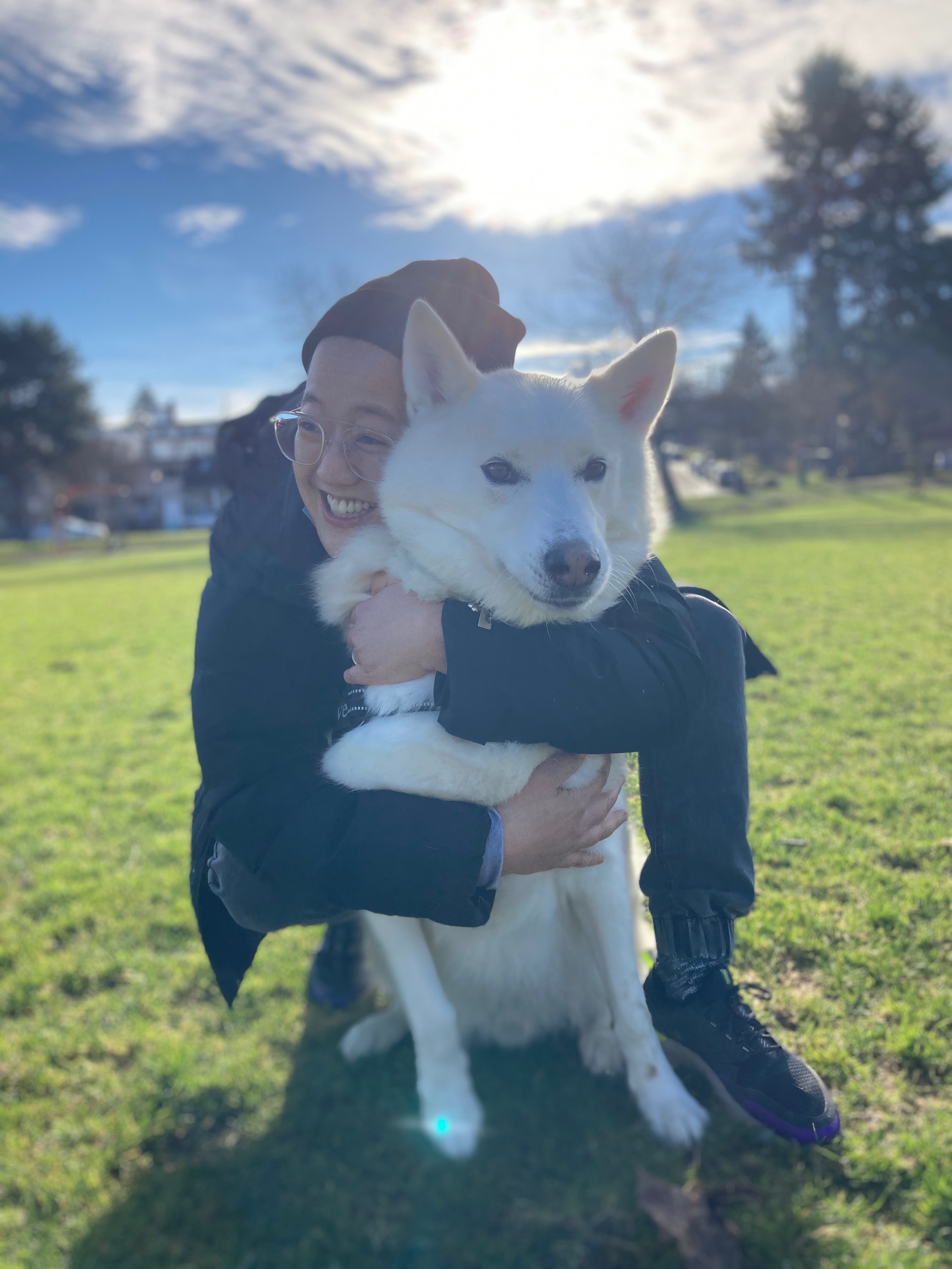 Fundraiser for Bella Sie by Ray McEachern : Help with Roman the Husky’s ...