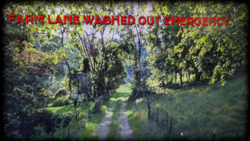 Fundraiser by Ed G : Urgent Help Needed: Repair Storm Damaged to Our ...