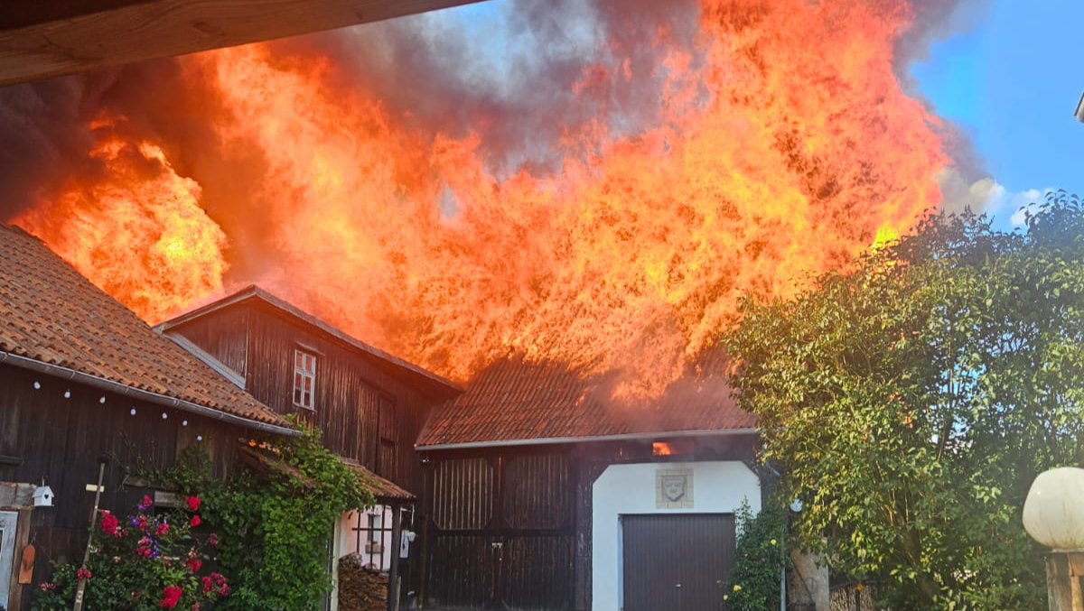 Fundraiser by Elisa von Koenig : Hilfe für Elly & Sully nach verheerendem Brand