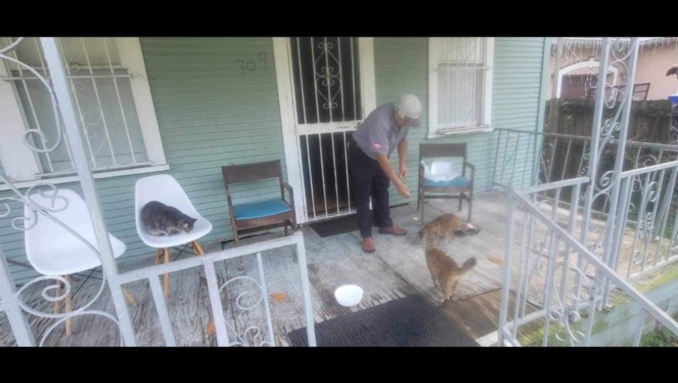 Fundraiser by Nadia Palomino : Help Mario Find a New Home