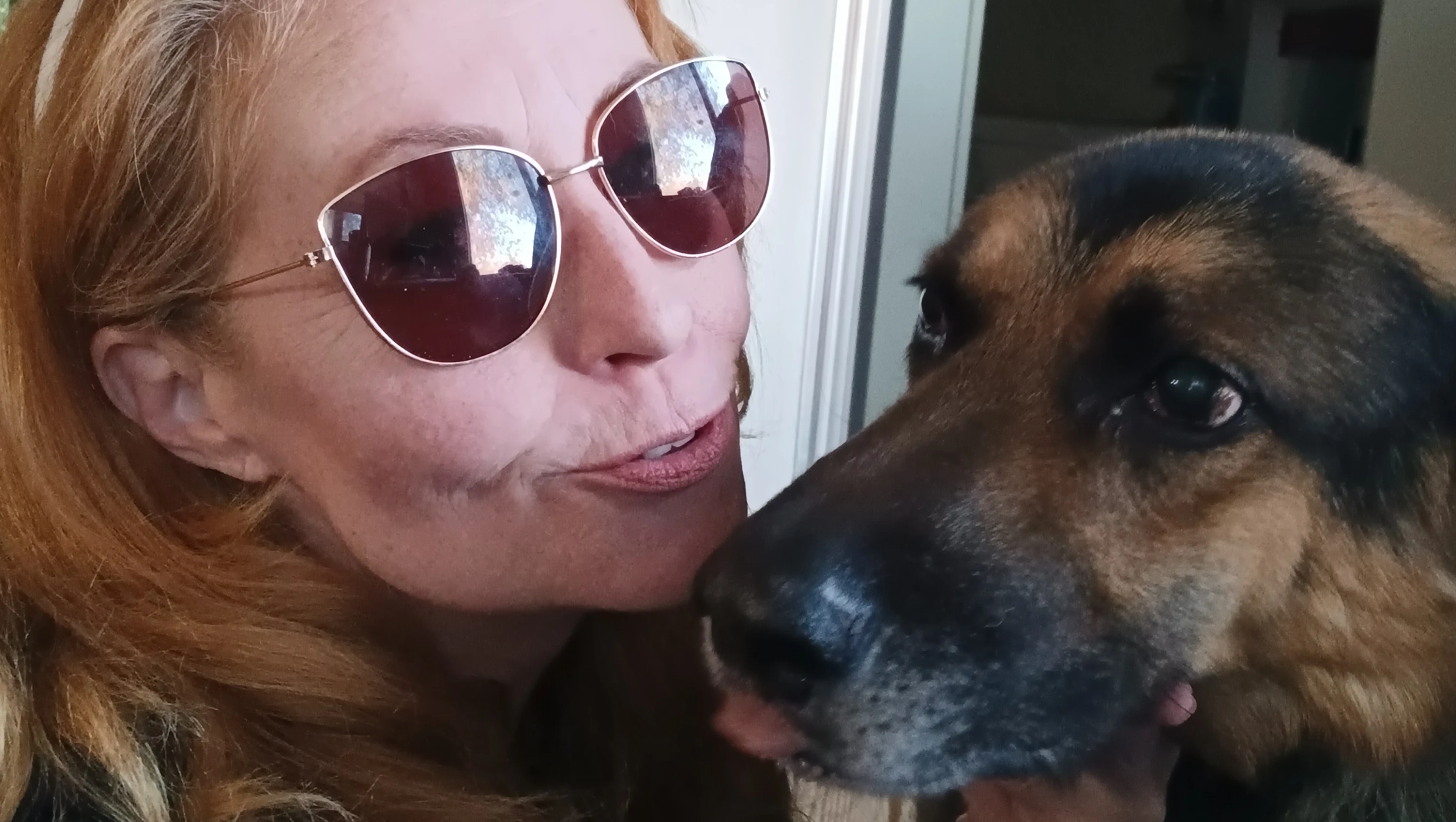 Fundraiser for Joe Perhach by Amy Arnold : Support Echo's Journey to Recovery