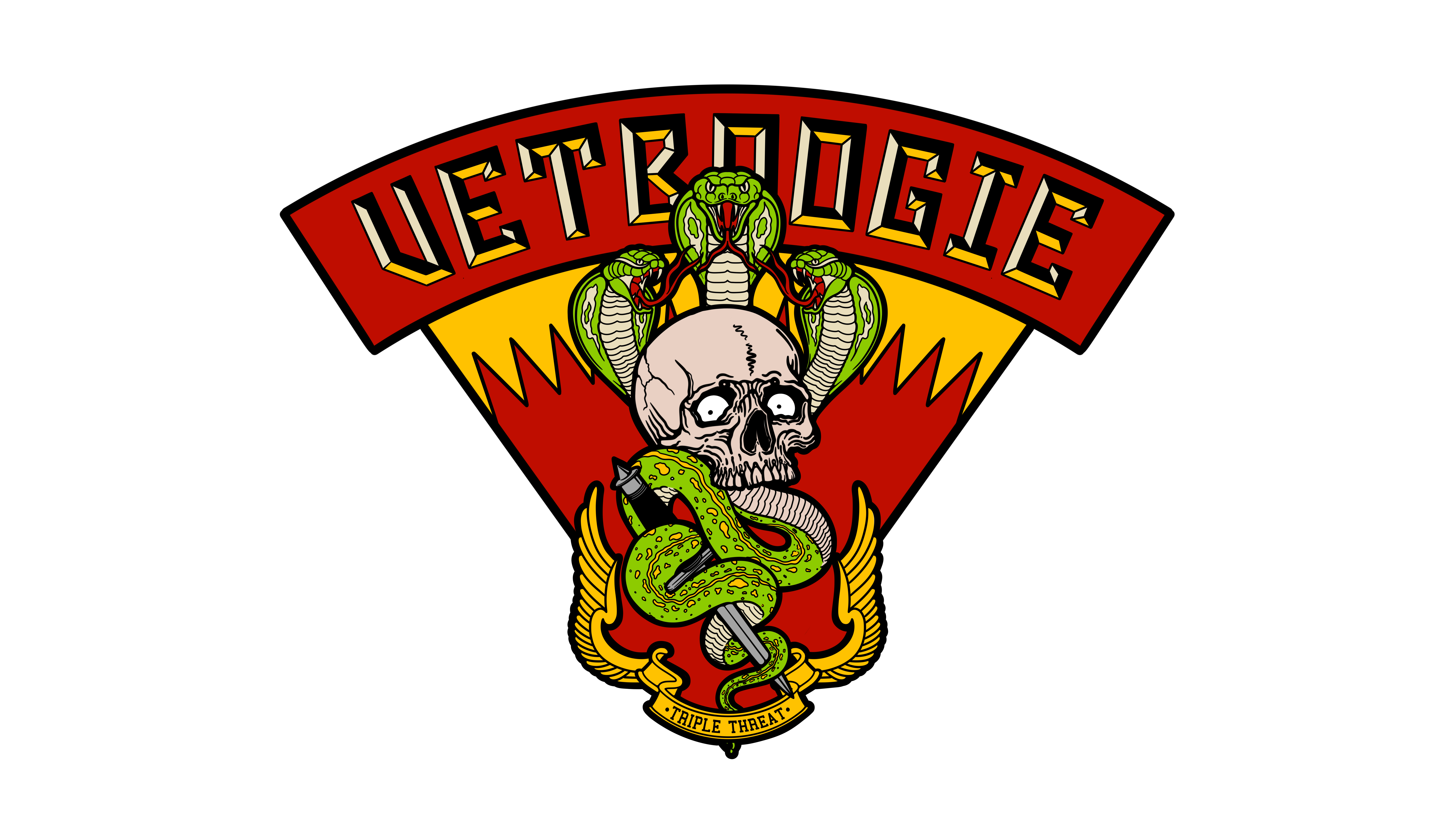 Fundraiser by SAMUEL LALIBERTE : Support VetBoogie 2025: Skydiving ...