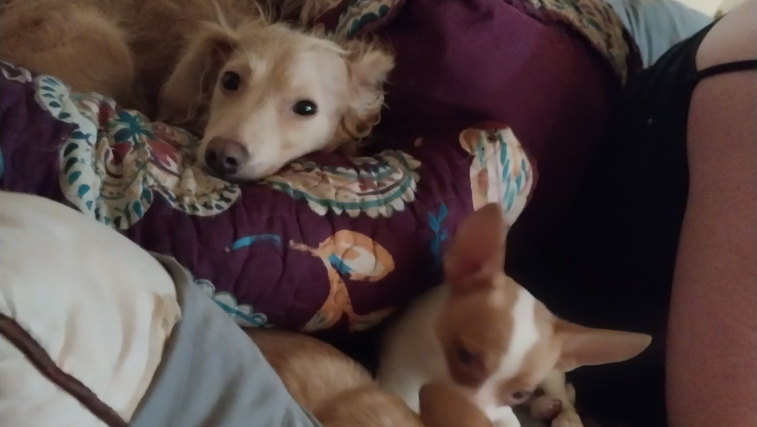 Fundraiser by Aimee Edwards : Support Aimee and Kassie's Wrongful ...