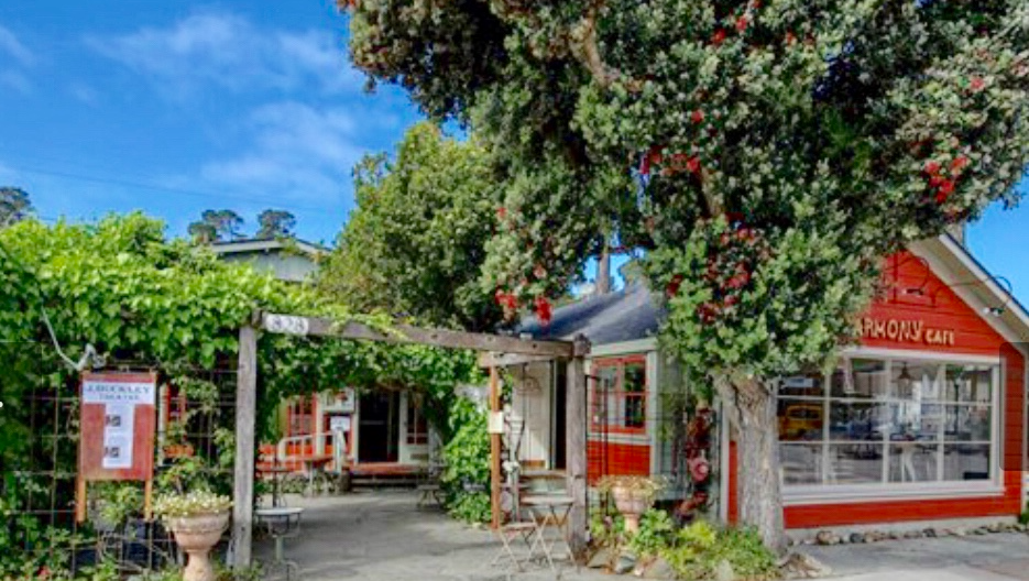 Fundraiser by Giovanni Grillenzoni- Harmony Cafe Team : Support Harmony Café through this Emergency