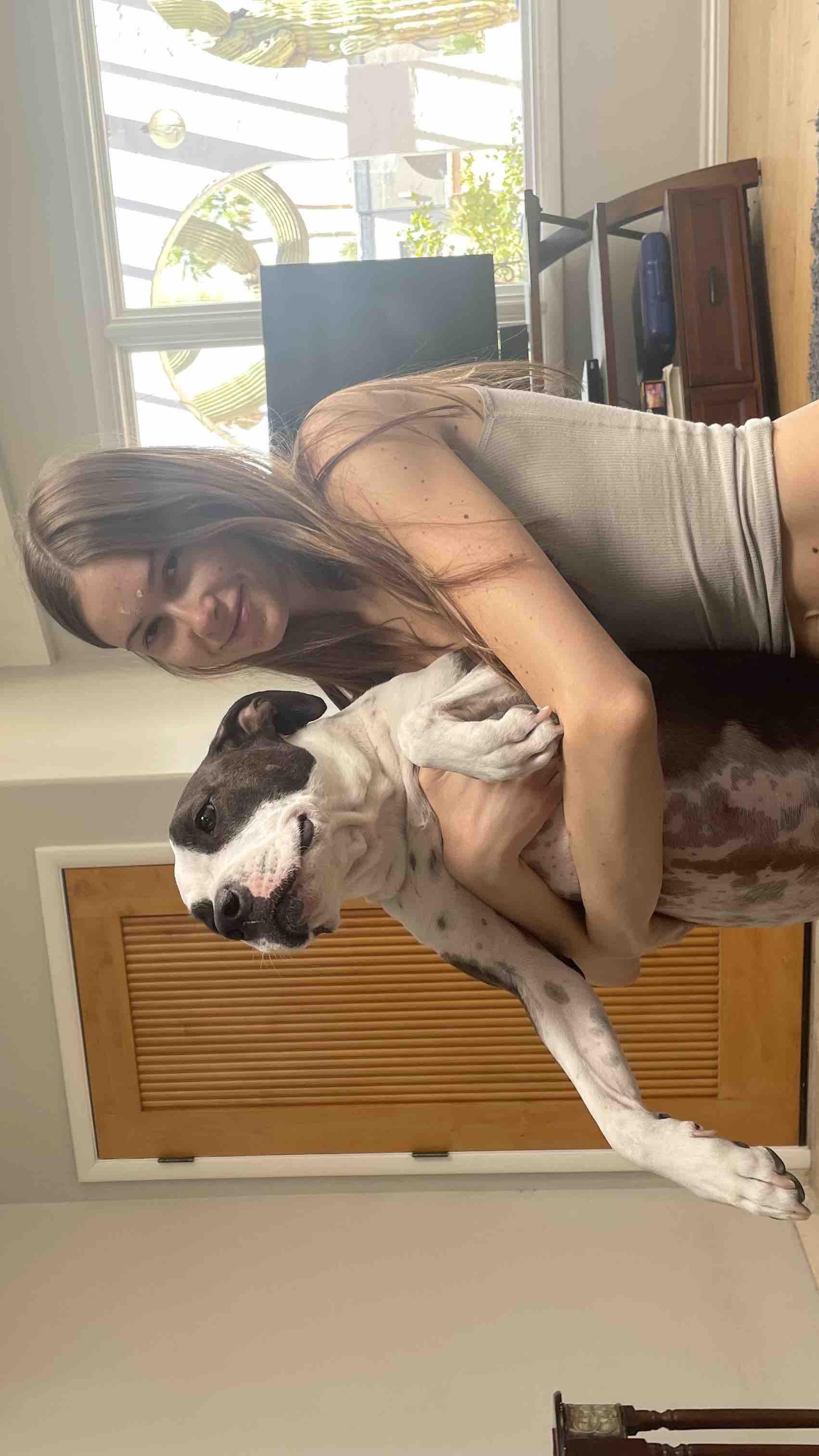 Fundraiser by elliana york : Help Daisy Recover & Keep Tevia’s Heart Whole