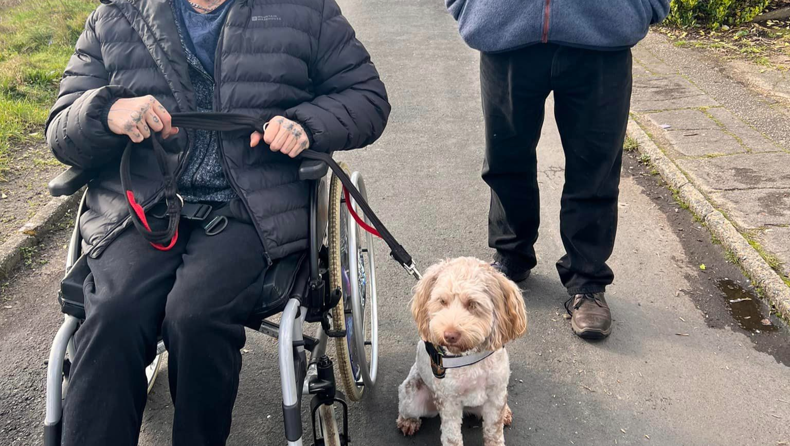 Fundraiser by Helen Fairweather : Brainy Dogs