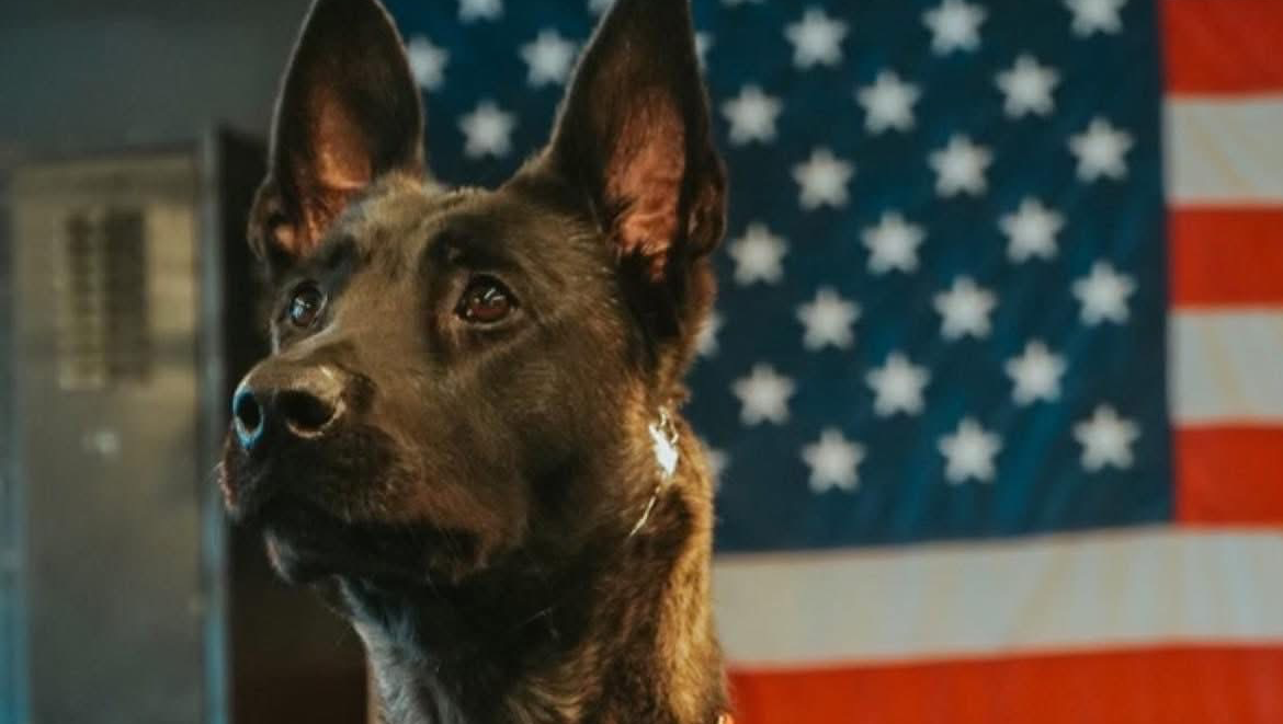 Fundraiser by Lauren Blann : Morgan’s 15th birthday fundraiser In ...