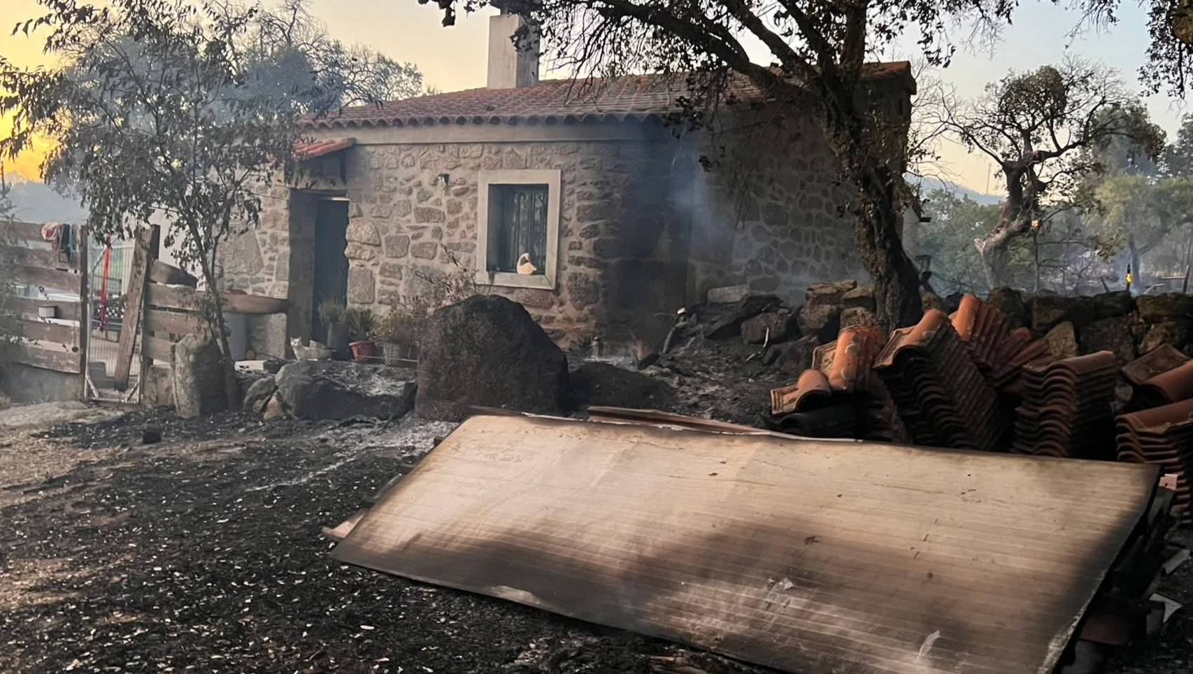 Fundraiser by Sharron Ellis : Farm,animal shelters destroyed due to ...