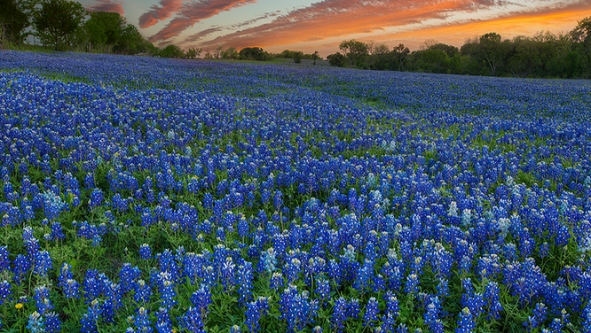 Fundraiser for Danae Morley by Briahna Perkins : Texas Family in Need ...