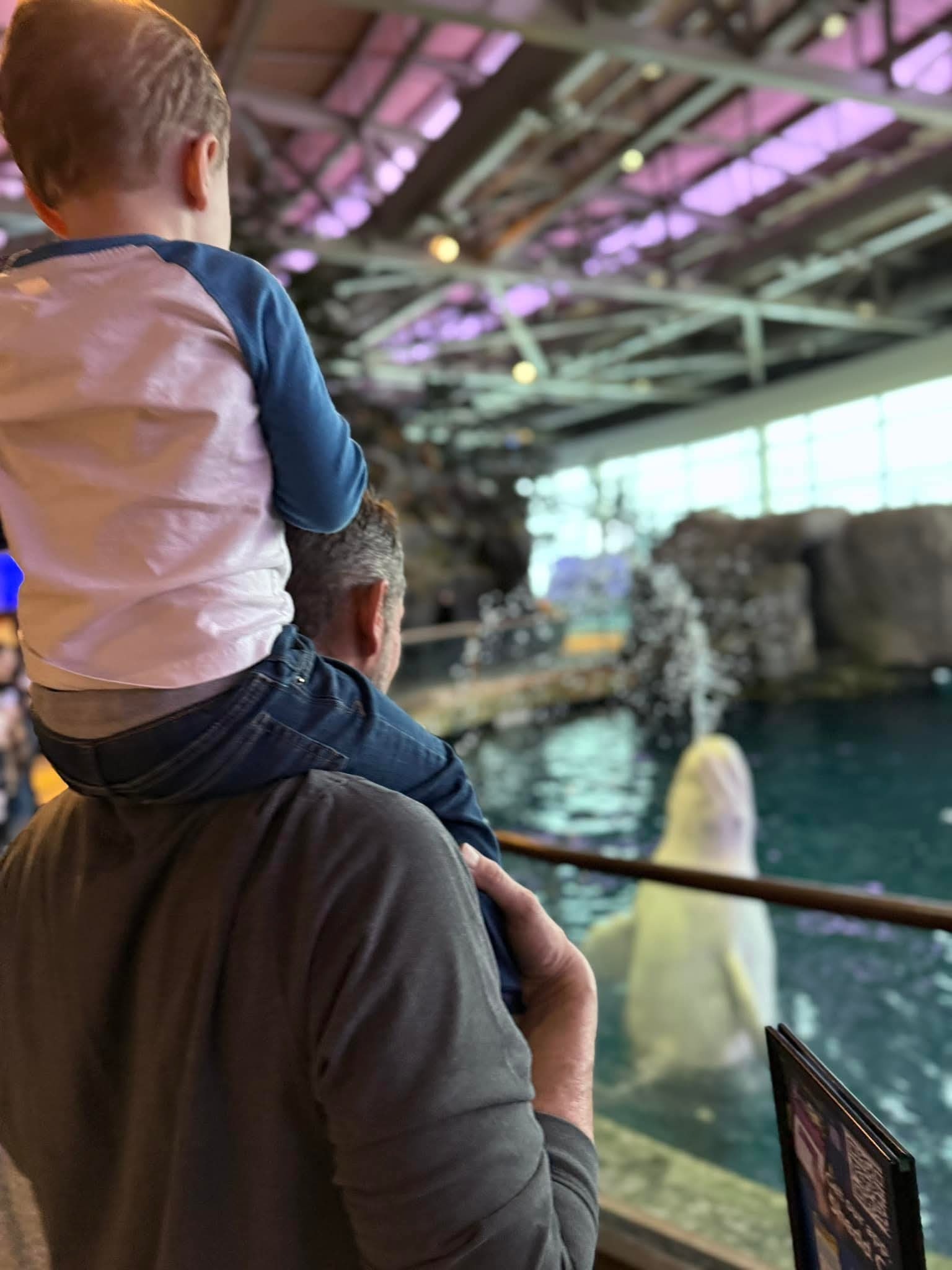 Fundraiser for MELISSA LANGFORD by Shawn Thornton : Assist the Langford Family in Their Time of Need