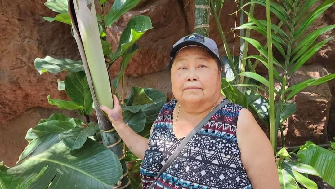 Fundraiser by Yia Vang : Celebrating Our Mother's Life and Faith