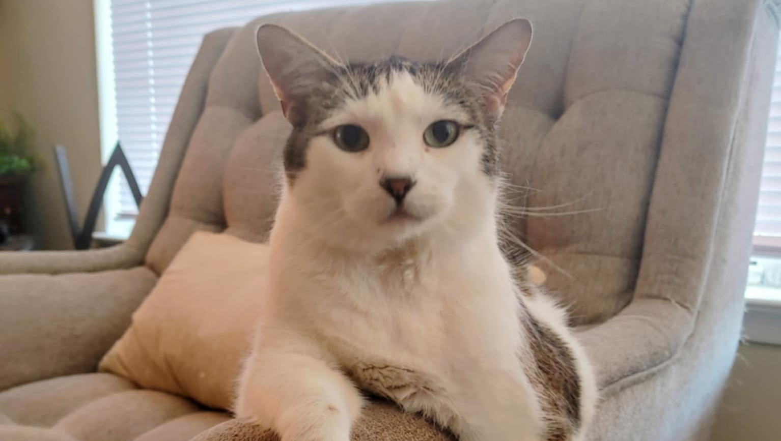 Fundraiser for Chris Eide by Nick Eide : Support Chris and Hans Through ...