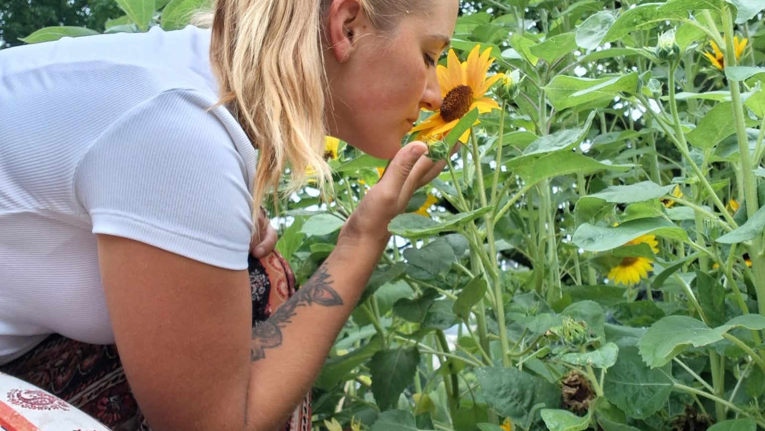 Fundraiser by Phillip Hollingsworth : Support Felisha Clark's Recovery ...