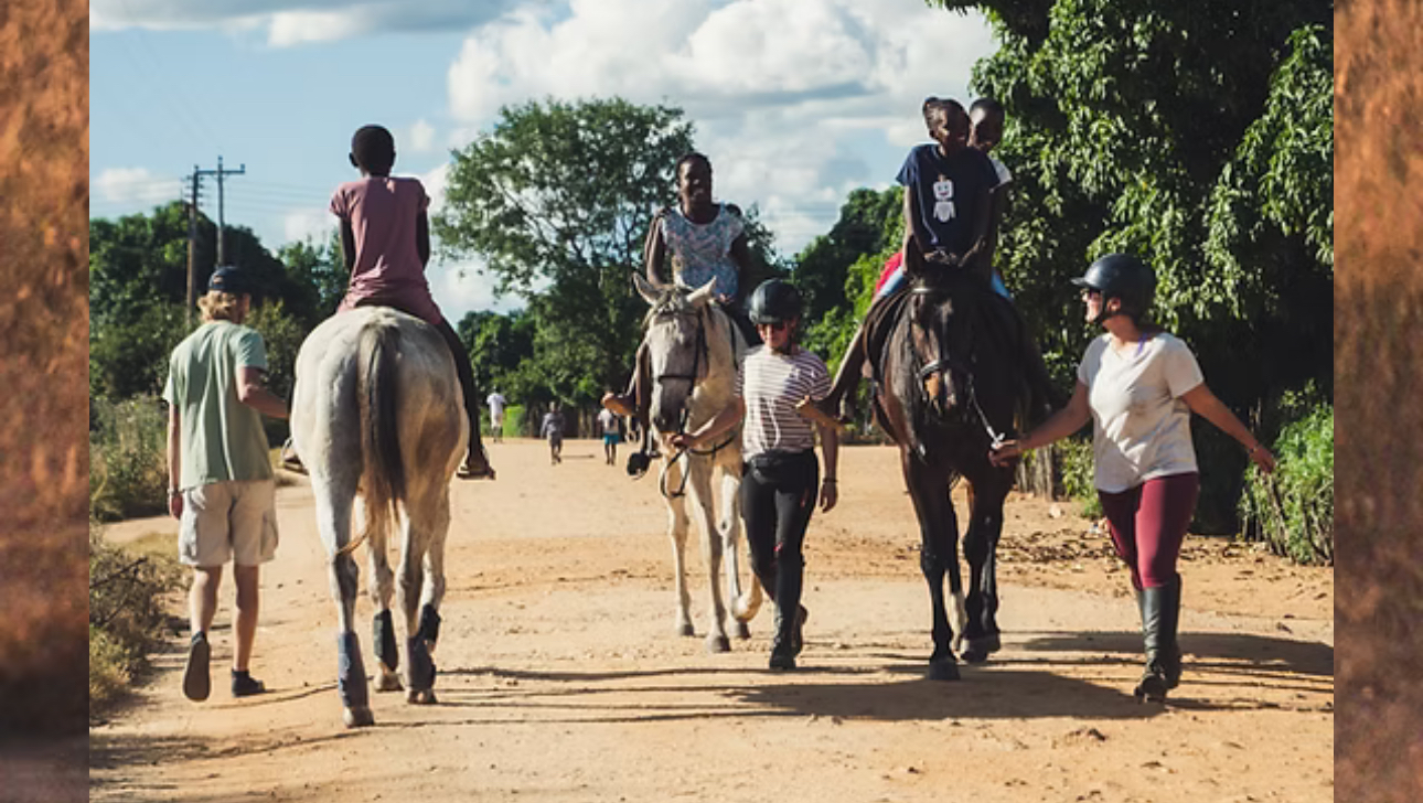 Fundraiser by Heather MacIver : Support Hwange Wildlife and Rural ...