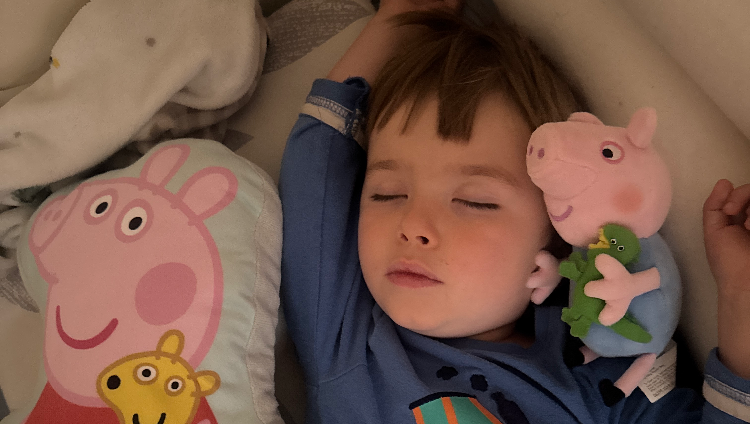 Fundraiser by Hannah Pope : Let get Albie to Peppa pig world!