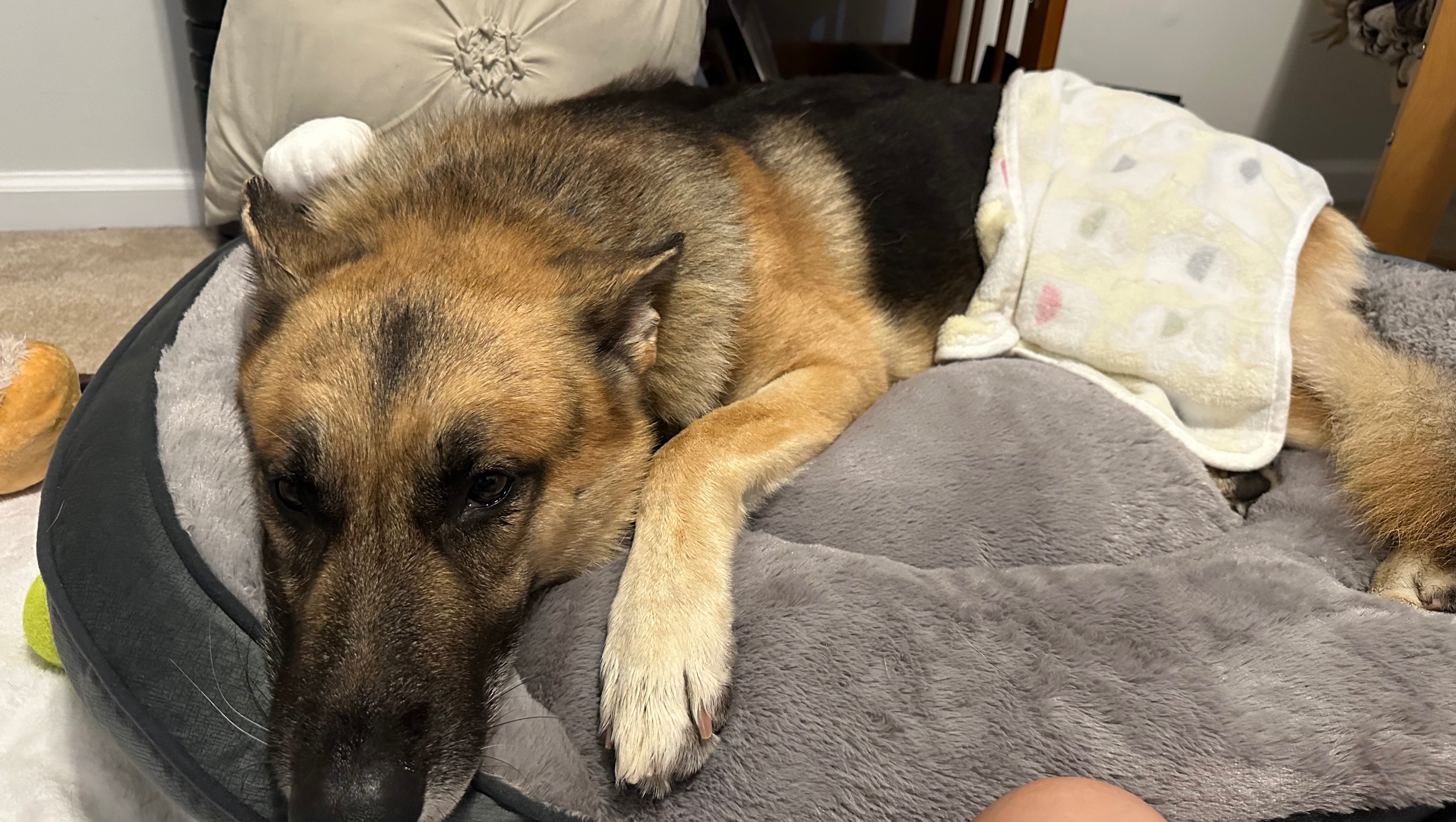 Fundraiser for Matthew Cass by Gabby Cass : Join Us in King's Fight for ...