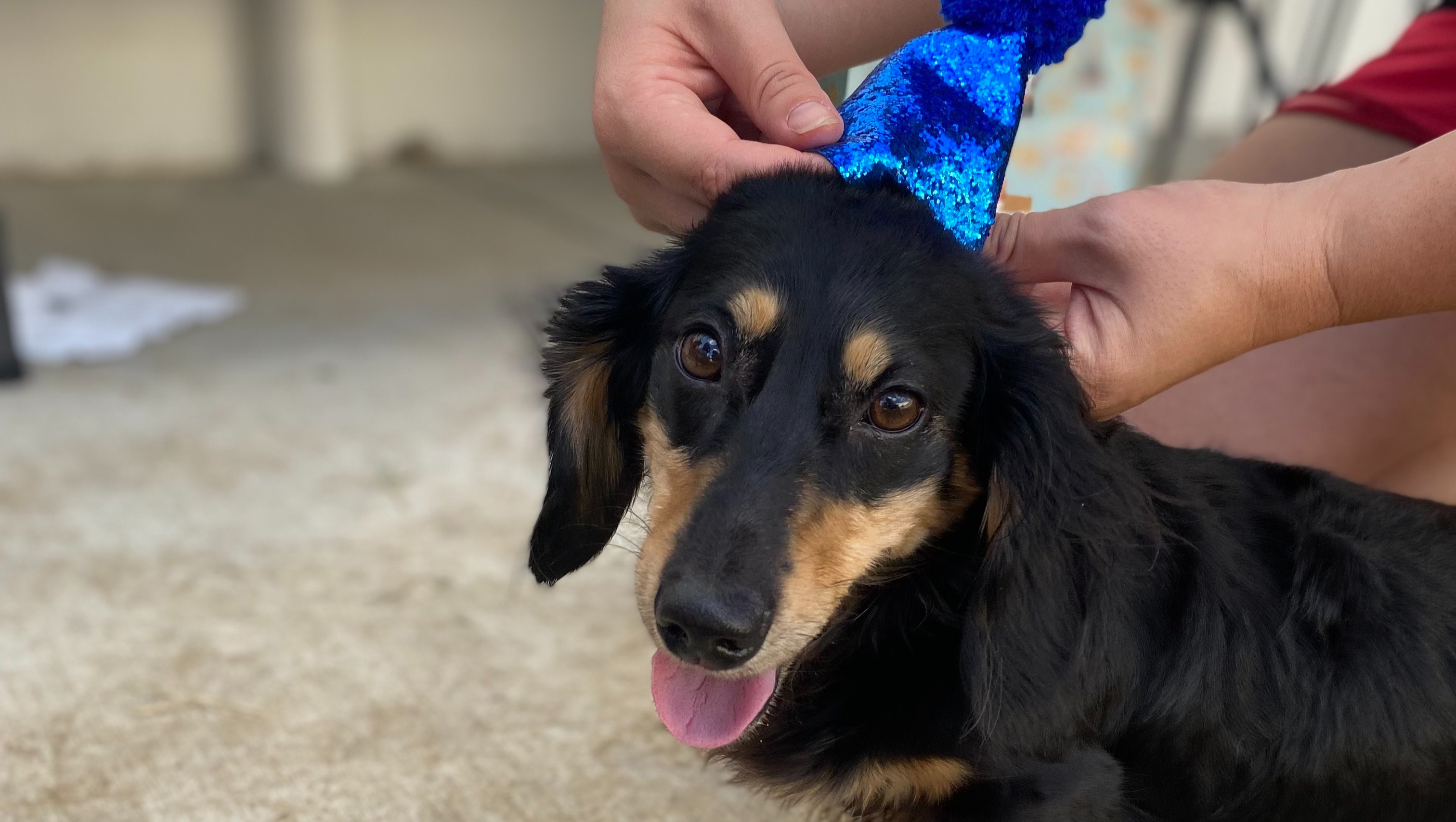 Fundraiser for Bethany Duarte by CHRISTIAN CHICAS : Support Bethany ...