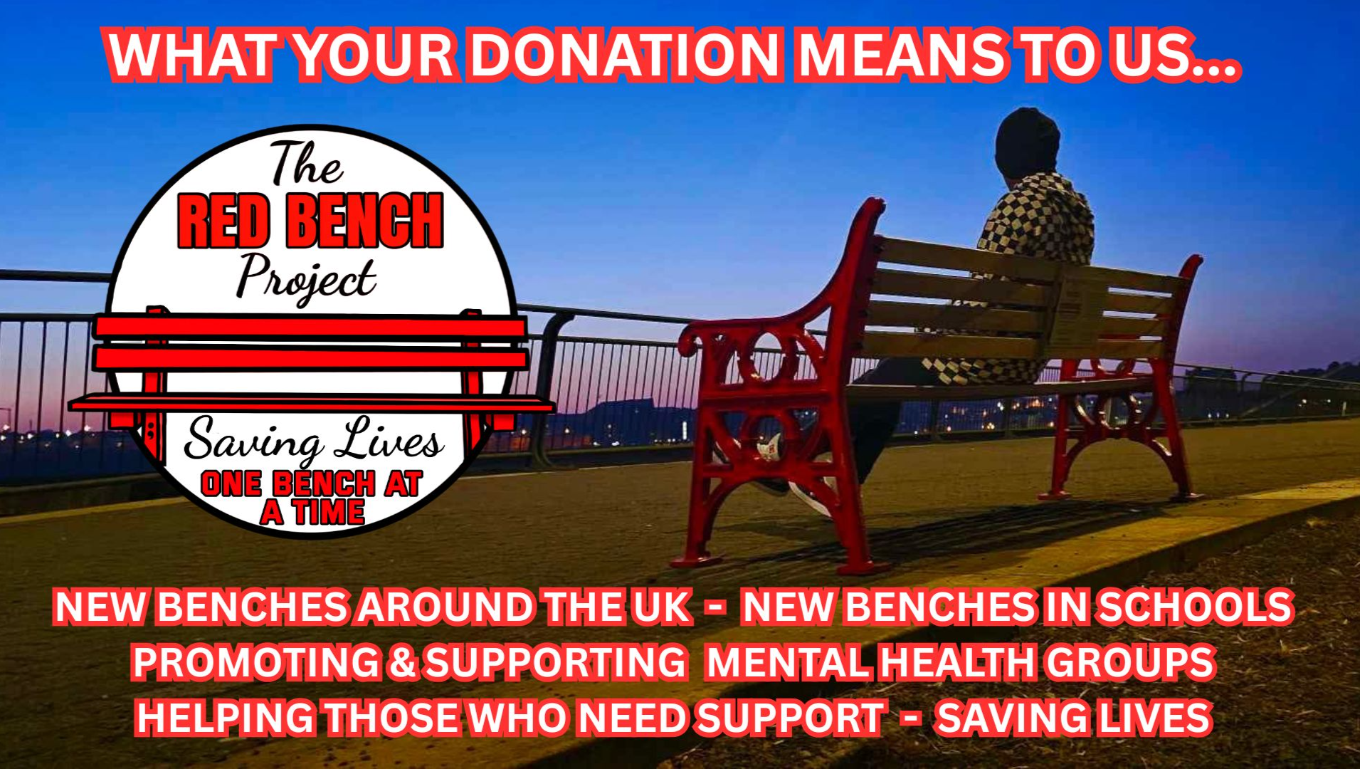 Fundraiser by Wayne Groves : The Red Bench Project