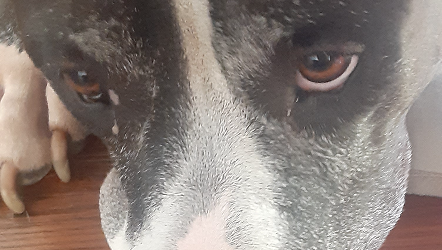 Fundraiser by Anna Appling : Supporting Us Through a Tough Transition