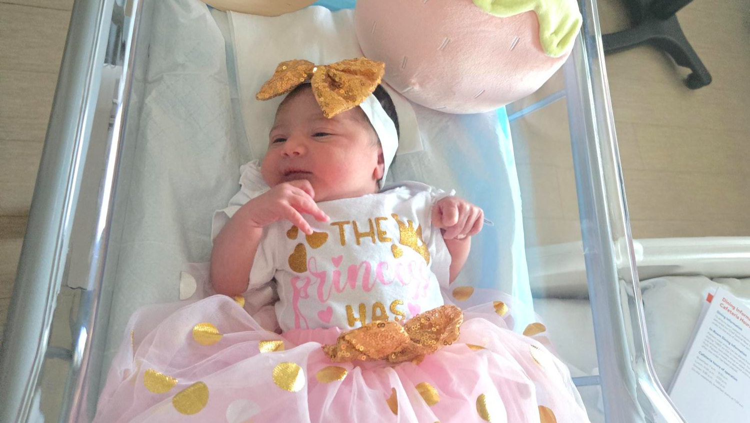 Fundraiser by Pete LaMon : Support for Karen and Baby Ailany