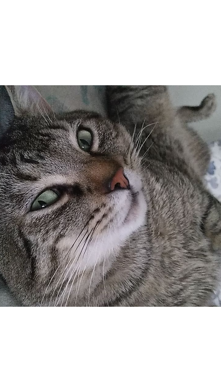 Fundraiser by Lea Lir : Support Lea's Journey to Stability and Shelter