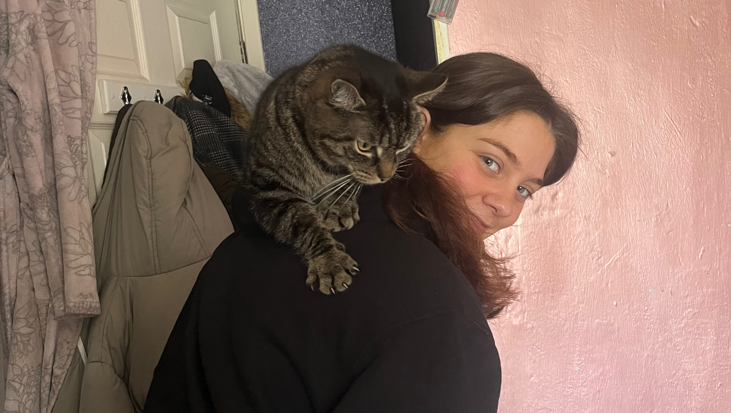 Fundraiser by Jessica Baber : Milo’s MRI scan