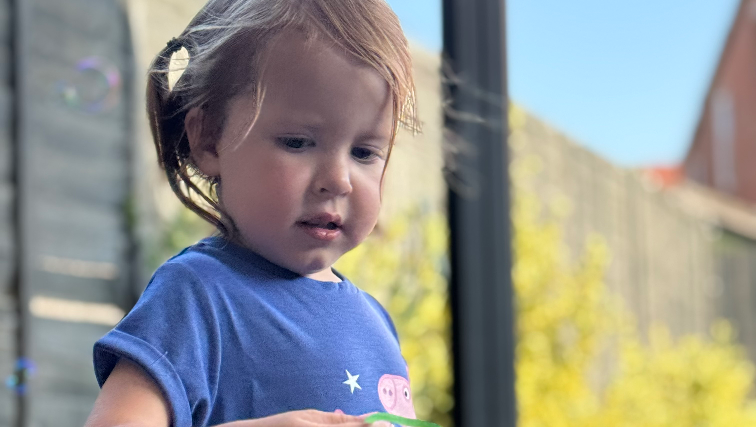 Fundraiser by Abbie Bates : Help Harriet get home adaptions