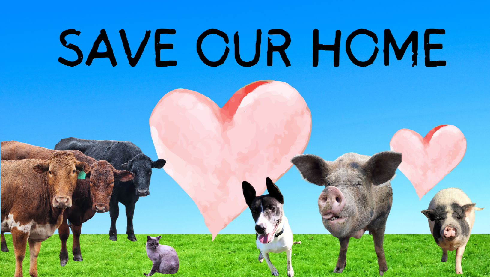 Fundraiser by Tracy Bulino : Help Us Save the Sanctuary and Start Again