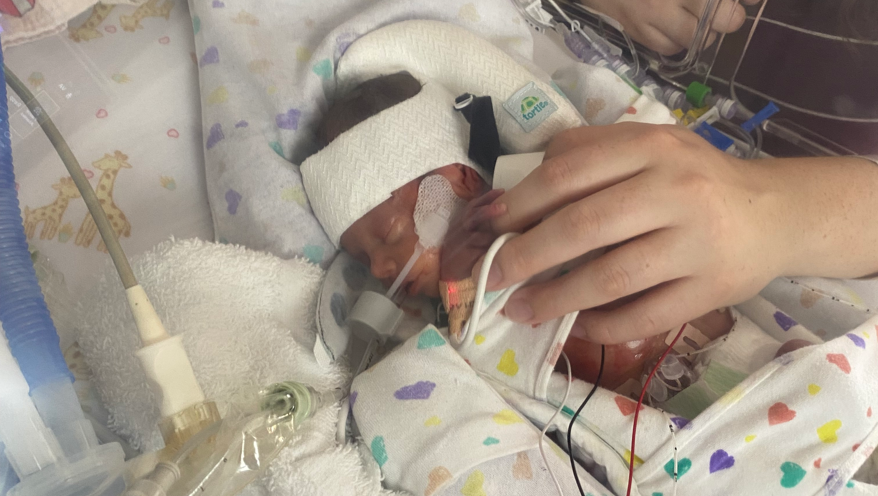 Fundraiser for Taylor Andree by Shelby Graft : Support Baby Violet's ...