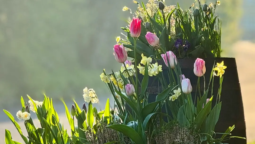 Fundraiser by Pam Grice : Enhancing our community with nature's beauty