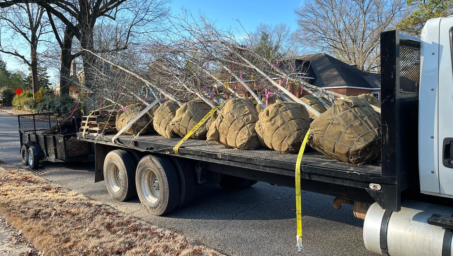 Fundraiser by Kristi Ryan : Pidgeon Estates 2026 Tree Planting Day