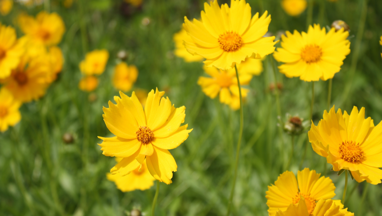 Fundraiser for Andrew Nixon by Willie Northway : Support Andrew Through His Tough Times