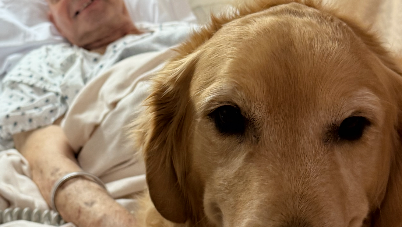 Fundraiser by pam hoffman : Keep Will and Rango Together: Support Needed