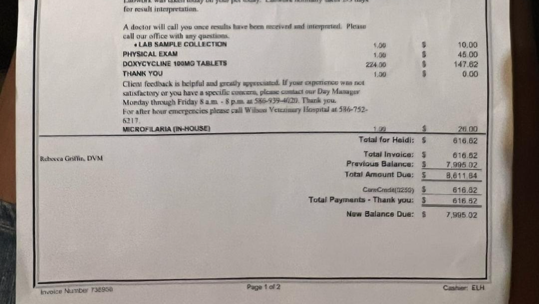 Fundraiser by Colleen Oleksinski : Need to raise funds for half of vet bill
