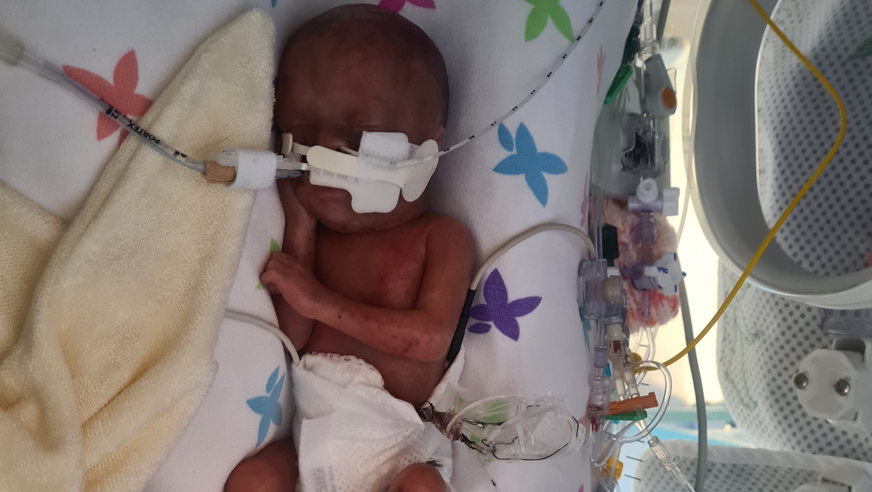 Fundraiser by Jordan Langford : In Memory of Freya Michelle Langford