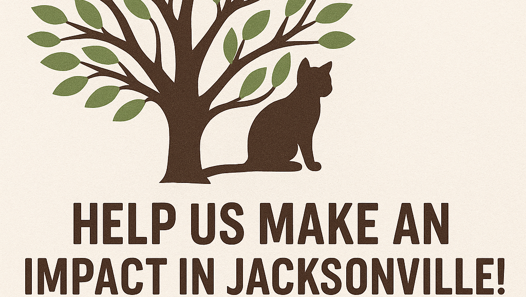 Fundraiser by Sidney Lopez : Support TNR Project: Save Cats and Our ...