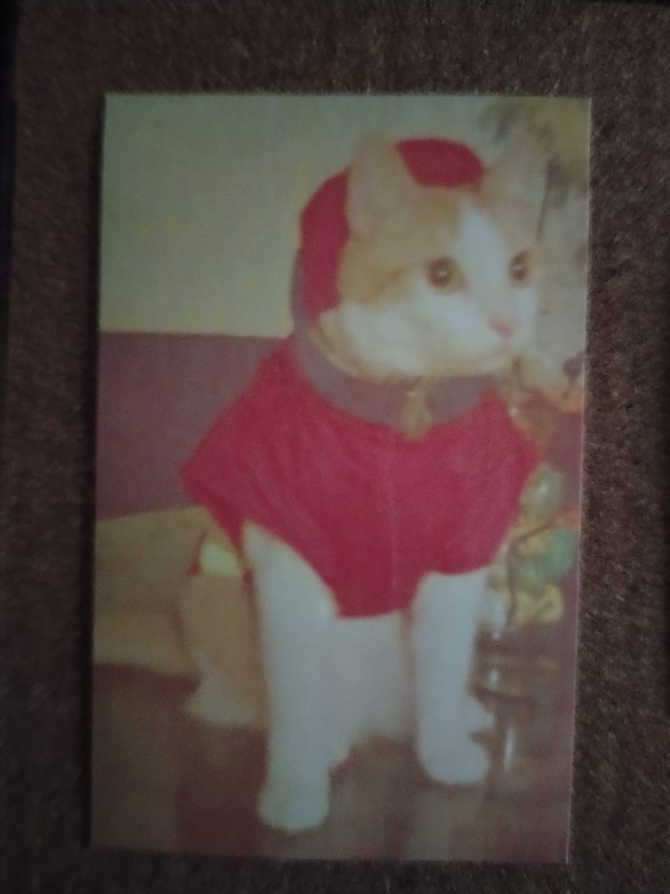 Fundraiser by Jose Andres Baquerizo : Help Cedric Fight Cancer with ...