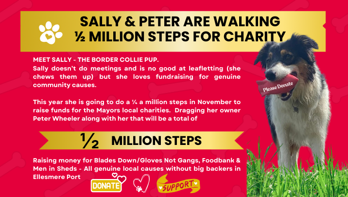 Fundraiser by Katie Kendrick OBE : SALLY AND PETER WALK HALF A MILLION ...