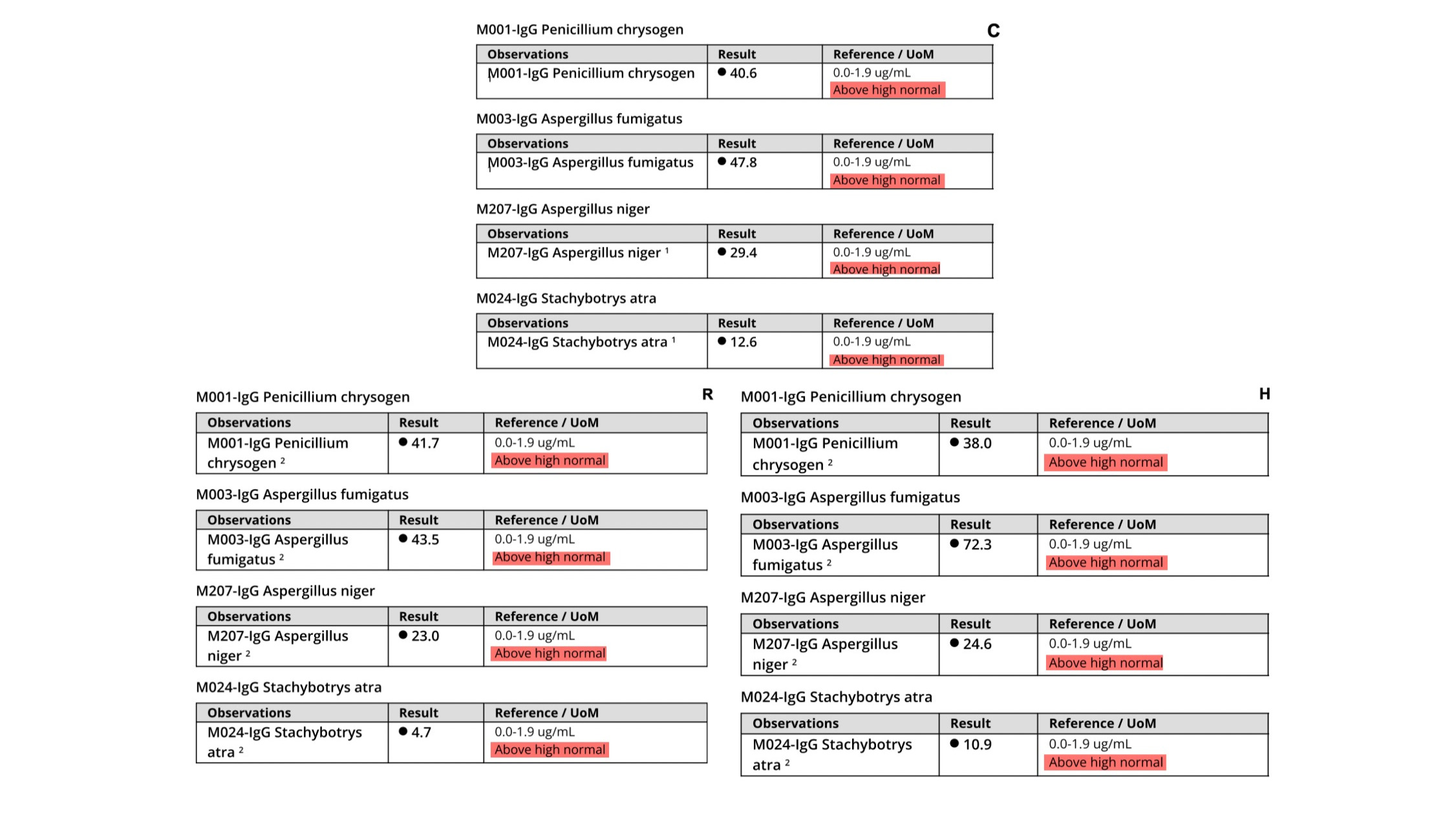 Fundraiser by Rachel Neubauer : Help Rachel, Chris & Hazel Heal from ...