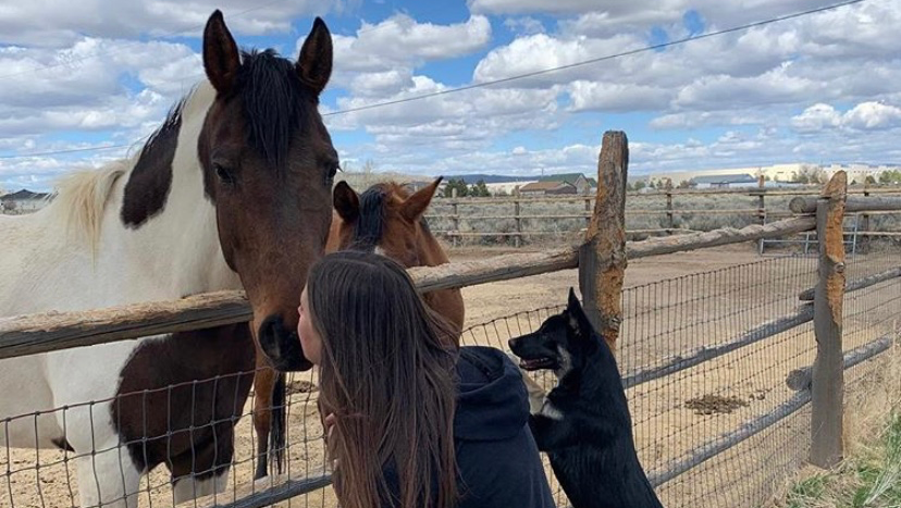 Fundraiser by Heather Crow : Help Rain Walk Pain-Free Again