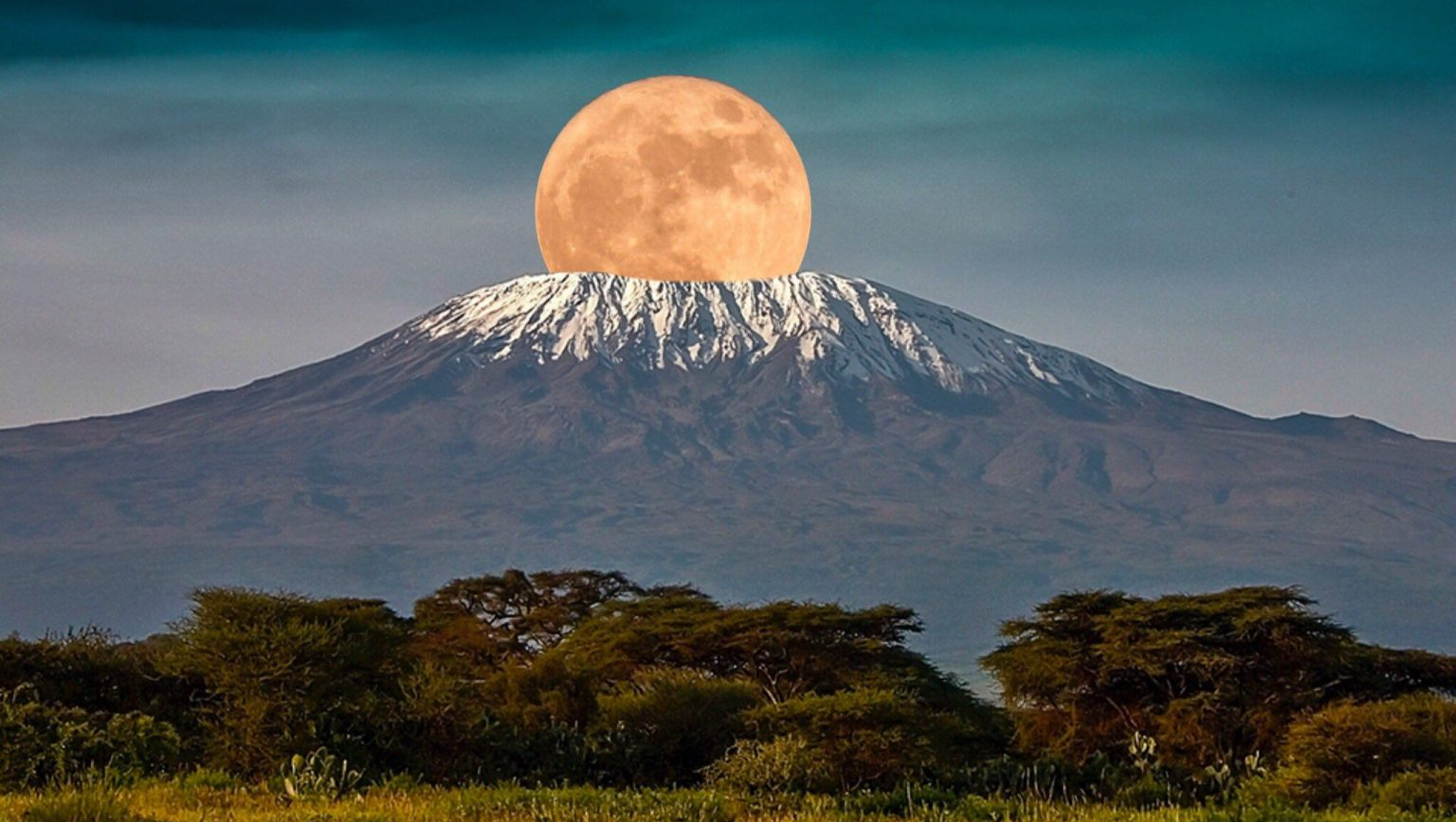 Fundraiser by Matthew Manders : Teenage Cancer Trust - Kilimanjaro