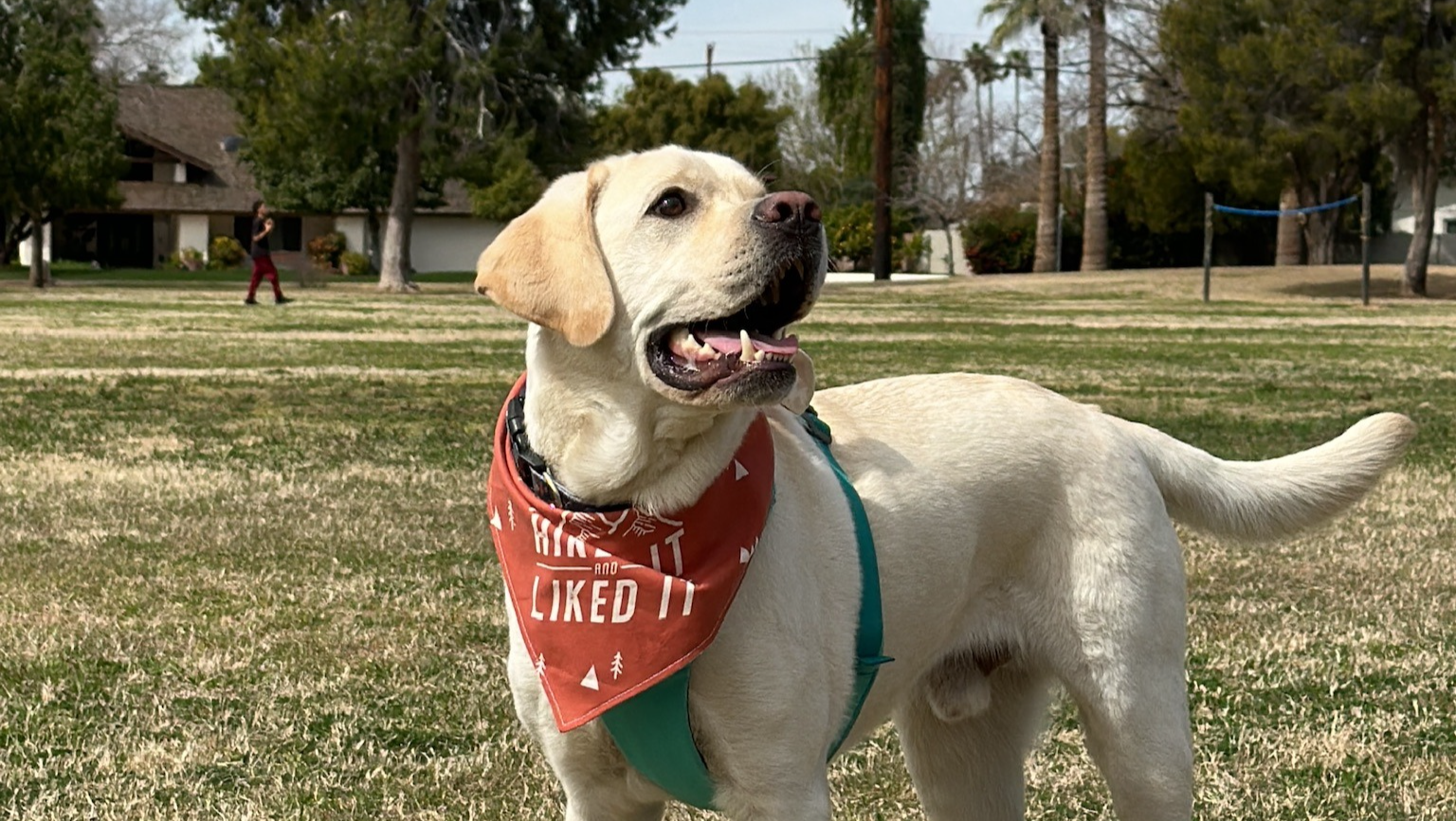 Fundraiser by Matthew and Rachel Engdall : Sponsor Skyler to Bring Joy ...