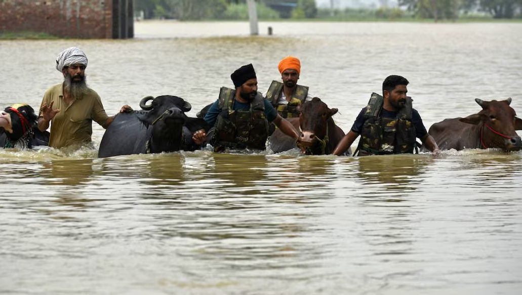 Fundraiser by Baljit Sing : Support Urgent Relief for Punjab Flood Victims