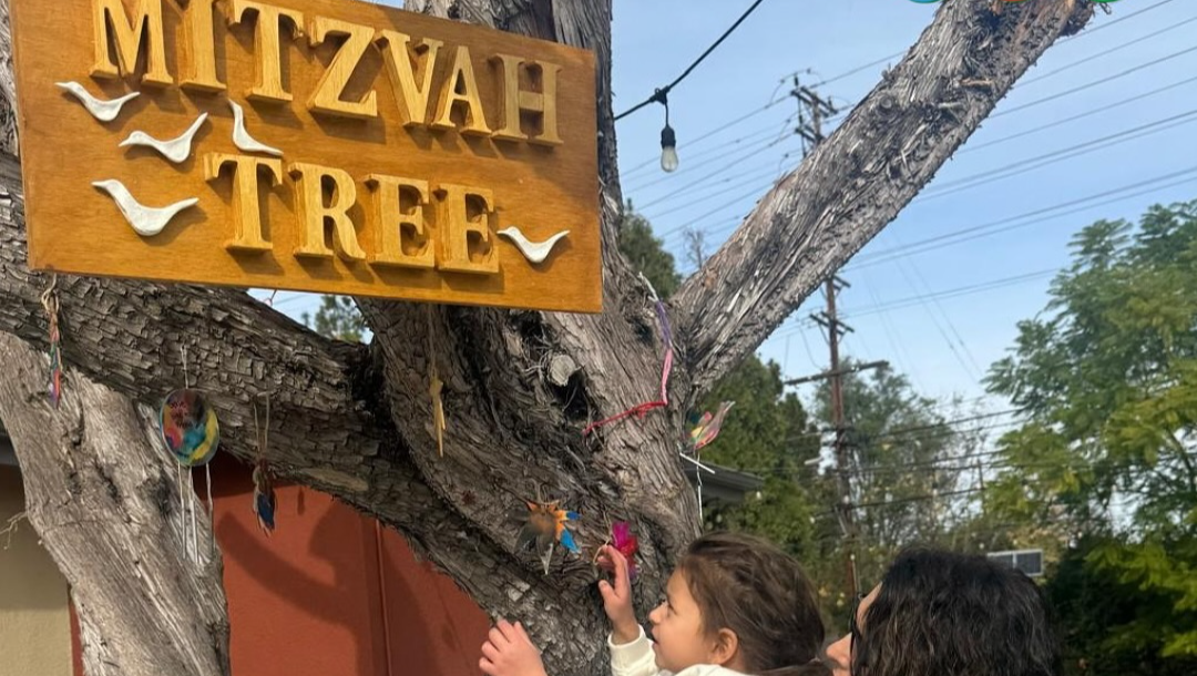 Fundraiser by Chereen Peretti : Save Our Montessori Jewish Preschool