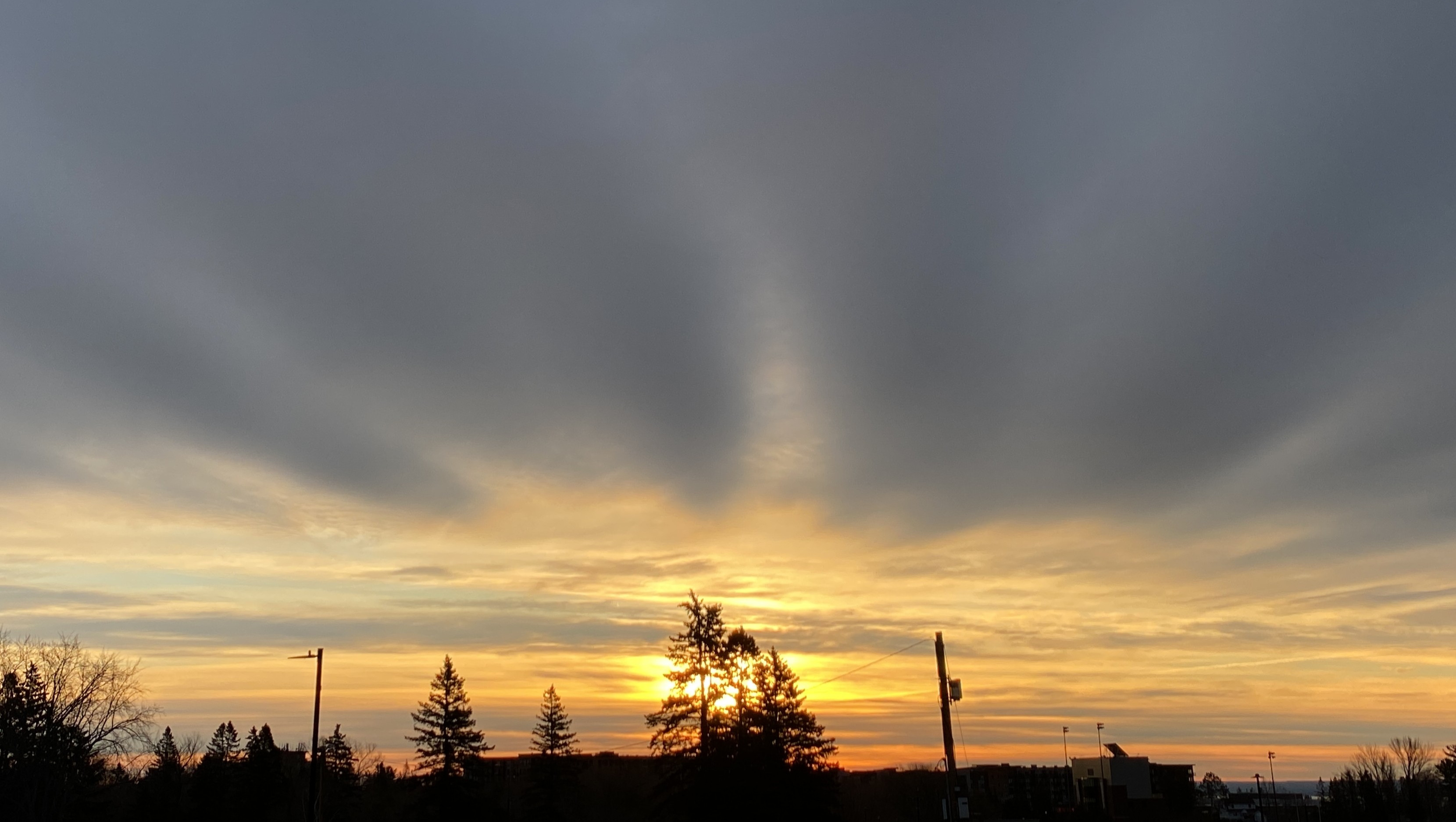 Fundraiser for Beth Cook by Susan Larson : Stand with Beth: Emotional ...