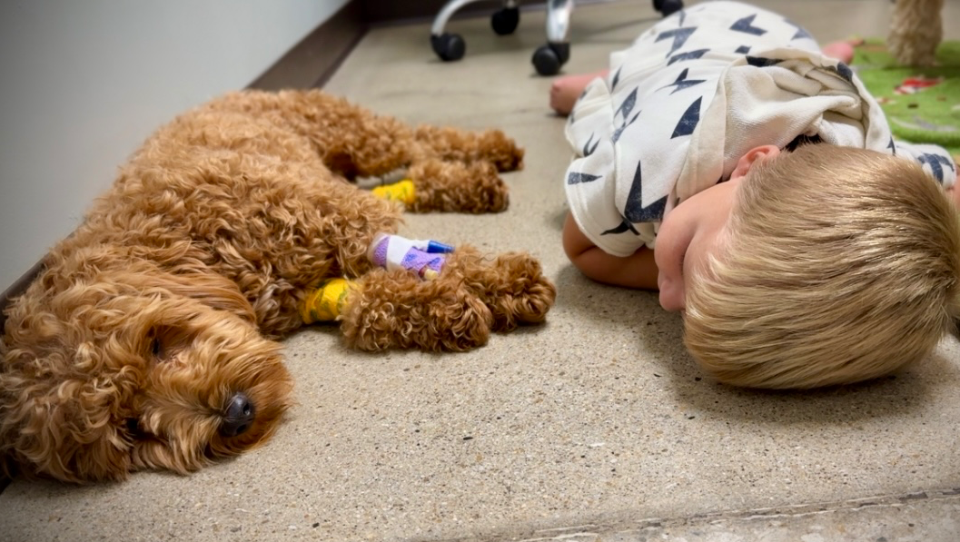 Fundraiser for Matthew Marshall by Mackenzie Marshall : Support Wrigley ...