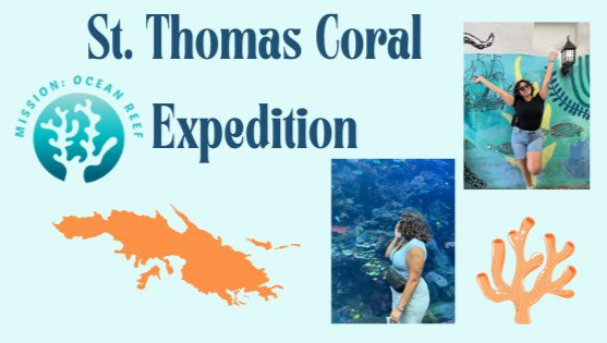 Fundraiser by Adrianna Peluso : Undergraduate St. Thomas Research Trip