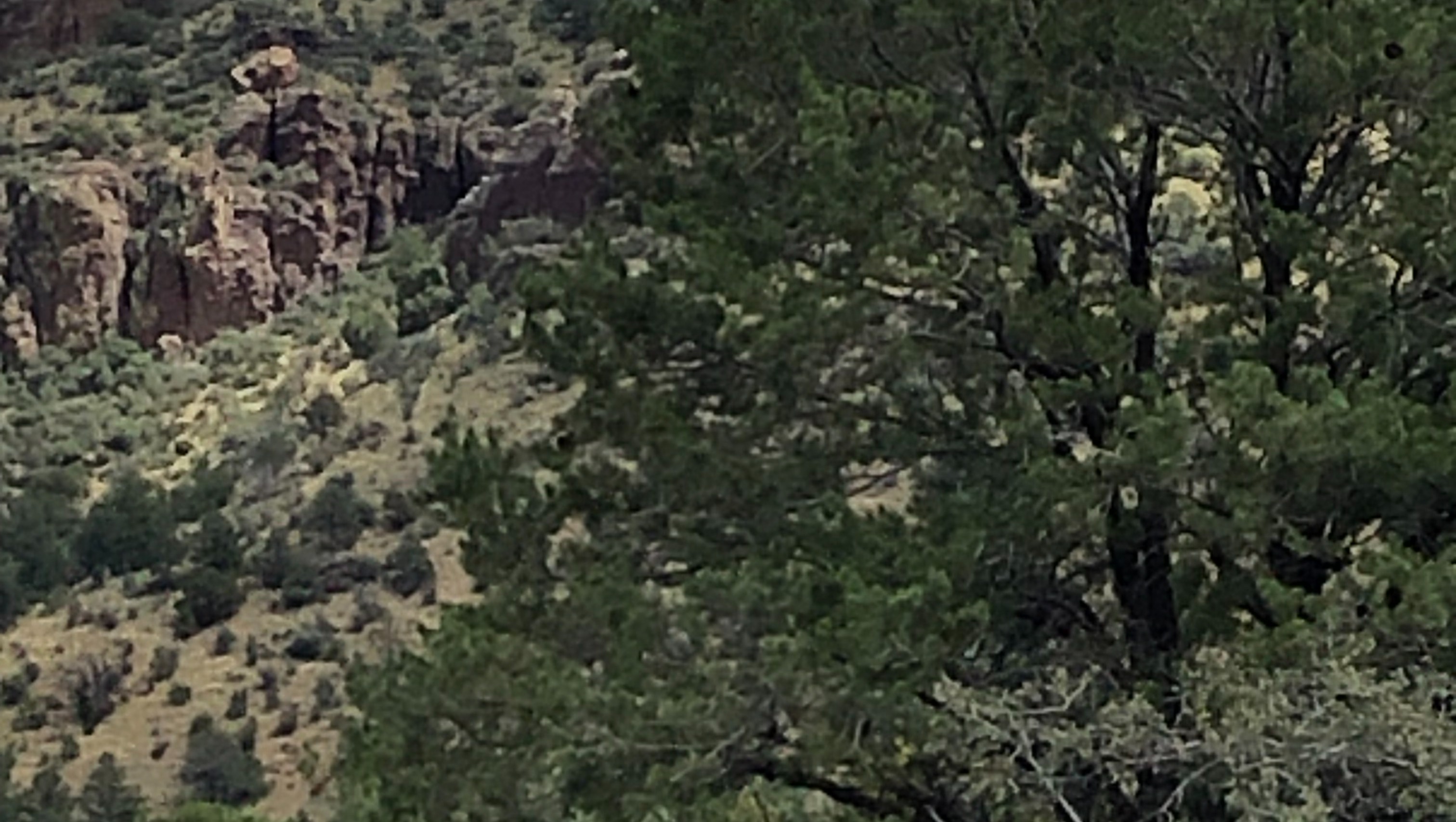 Fundraiser by Indivisible Immigration Group : SNV Training